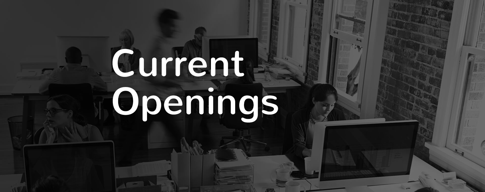 Explore Our Current Openings | Innovo Benefits Group